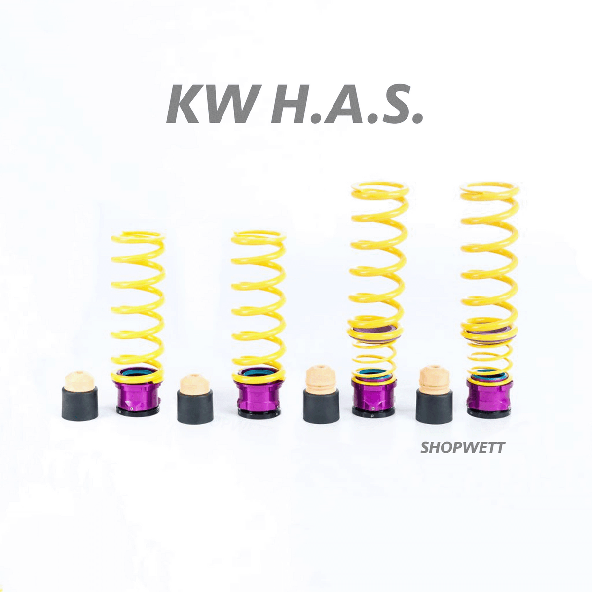 KW HAS for Mercedes-Benz AMG GT/S (Height Adjustable Springs) – shopwett