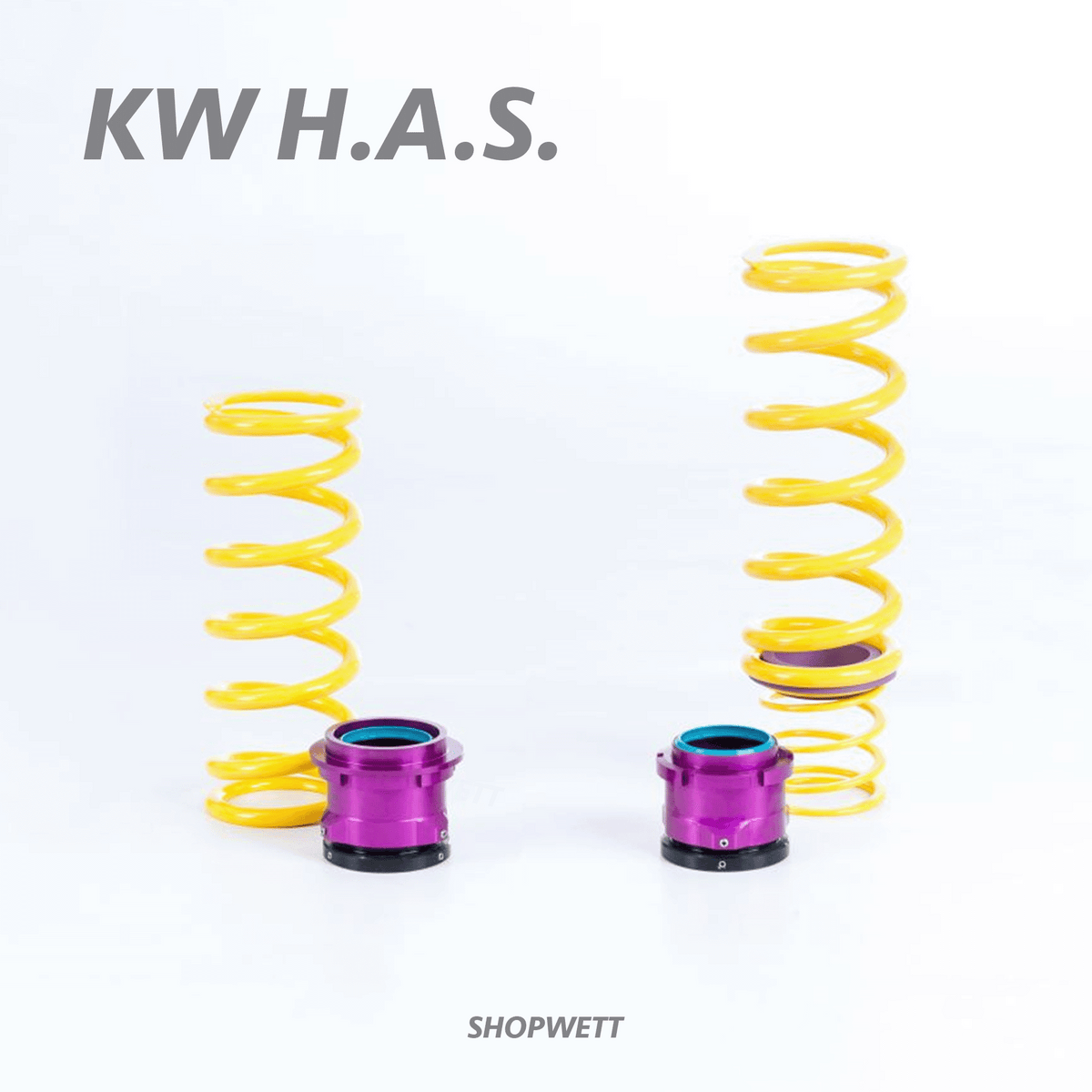 KW HAS for Mercedes-Benz AMG GT/S (Height Adjustable Springs) – shopwett